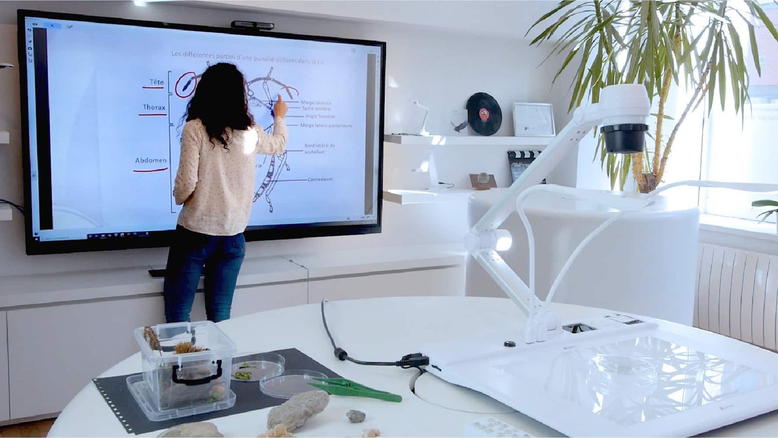 Pourquoi adopter un visualiseur à l'école | visualiseurs.com